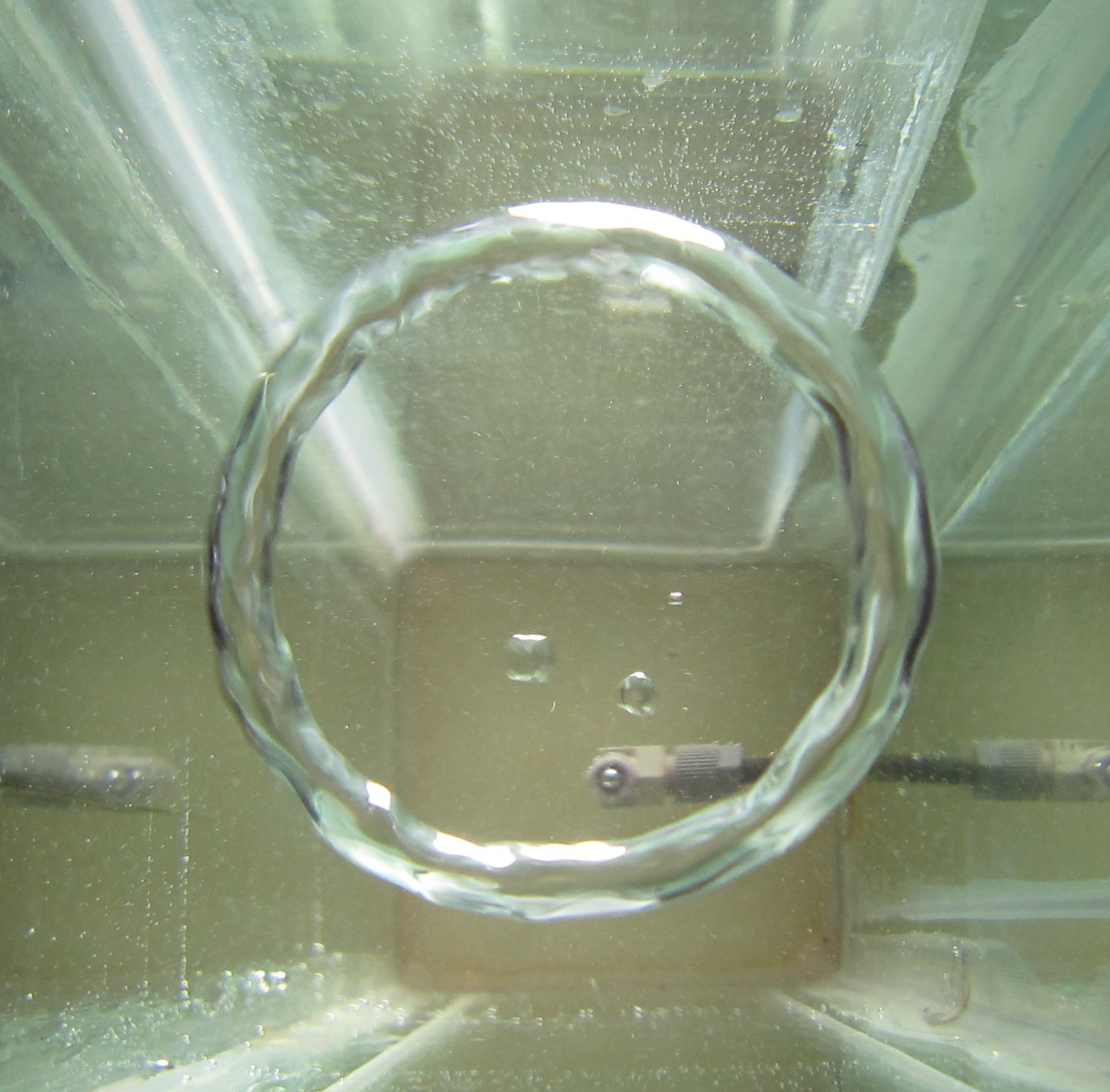2011: Mass transfer around a toroidal bubble – Prof. Nicolas DIETRICH ...